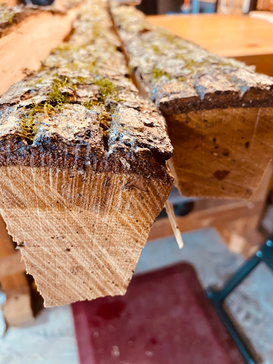 Bow Stave, (Premium) White Oak – Bowyer Stave Store