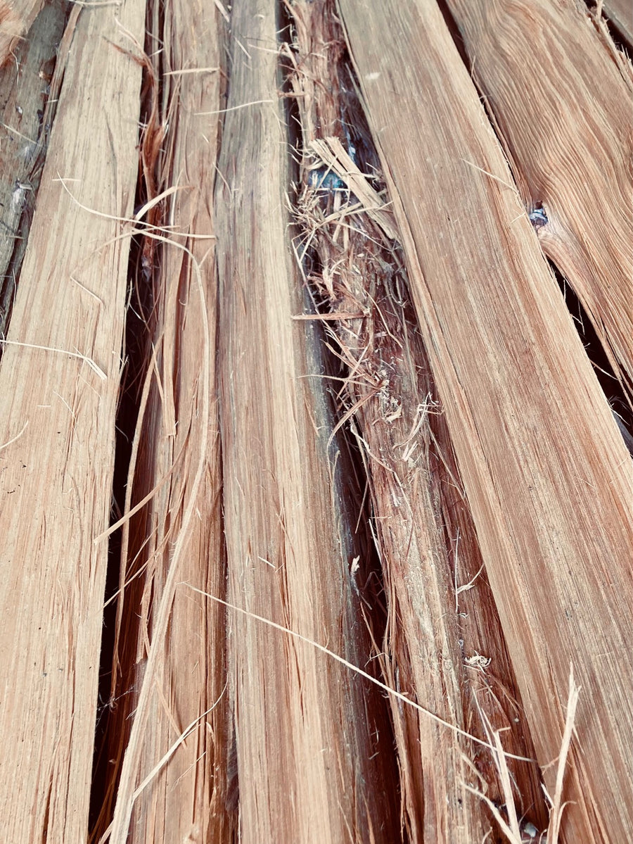 Bow Staves – Bowyer Stave Store